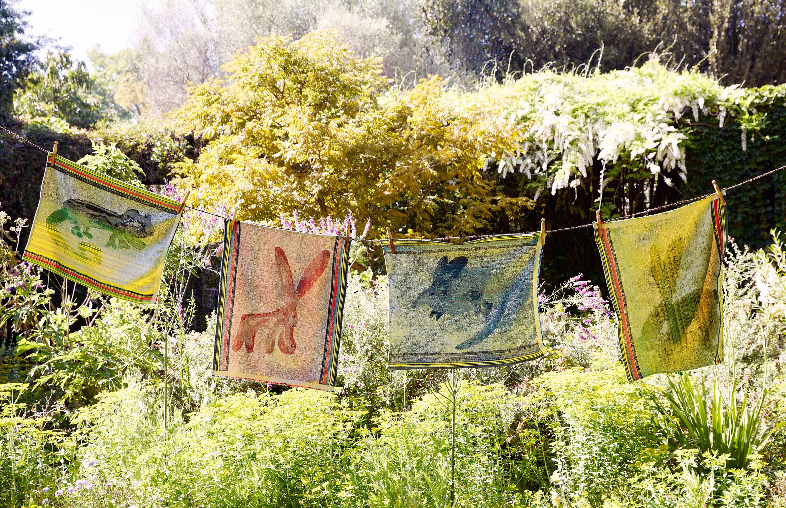 Evolution Product | Collections | Guest Towels