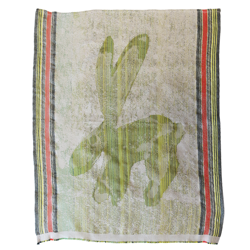 Evolution Product | Collections | Guest Towels