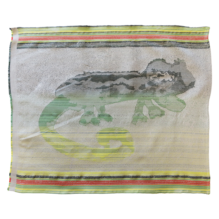 Evolution Product | Collections | Guest Towels