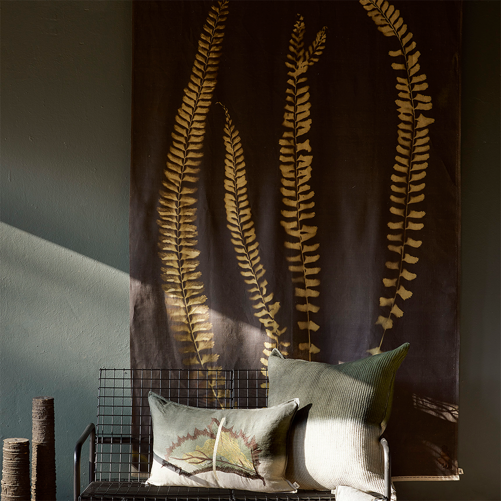 Evolution Product | Blagrave's Ferns | Fern 2 Panel