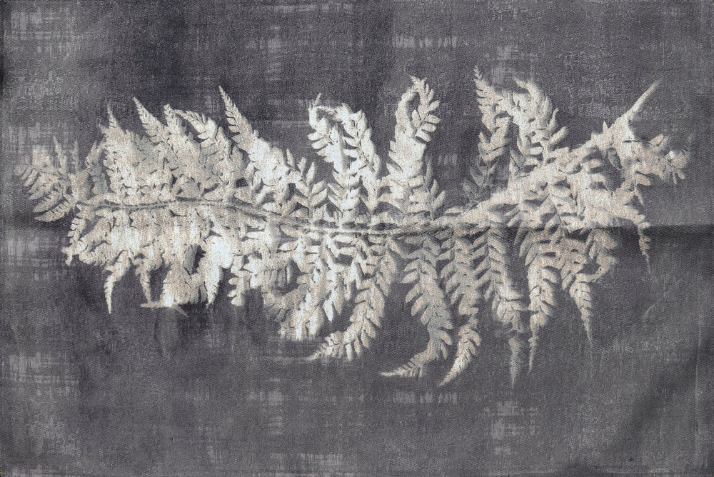 Evolution Product | Collections | Carpets